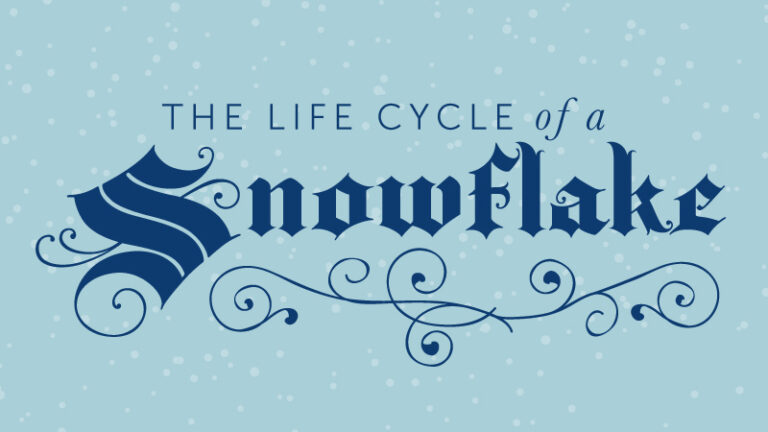 Lesson Plan Inspiration: The Life Cycle of a Snowflake | Teaching Channel