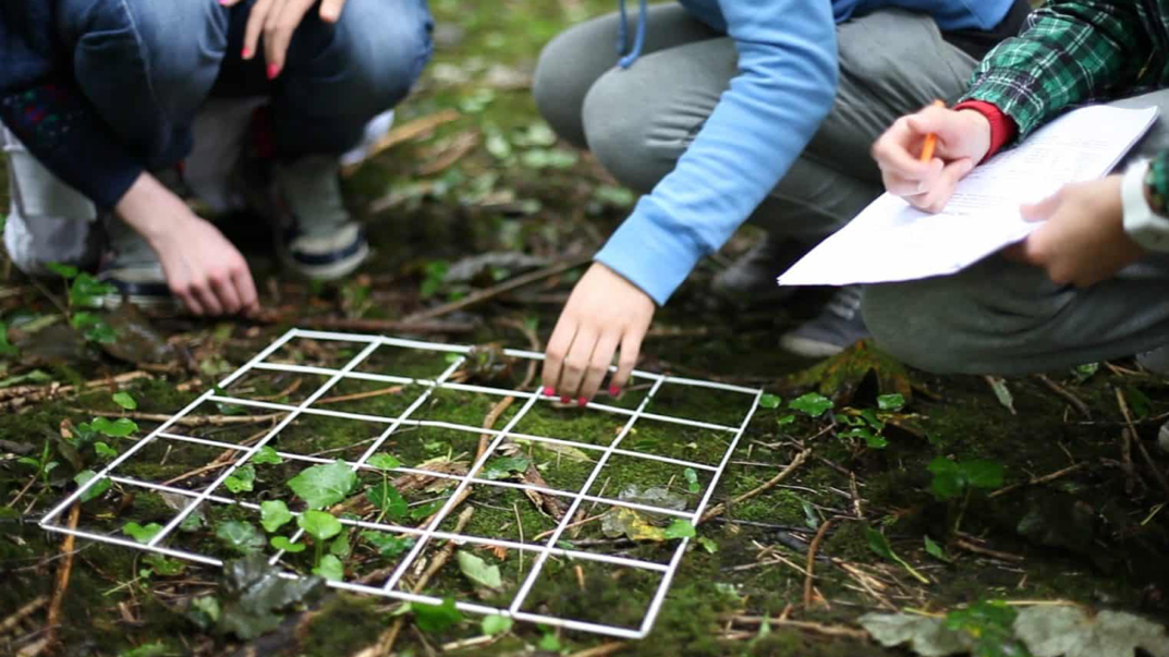 Incorporating Informal Science Learning into Your Classroom | Teaching ...